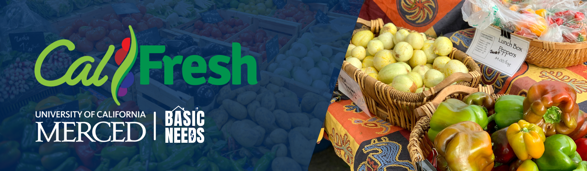 CalFresh Outreach | Basic Needs