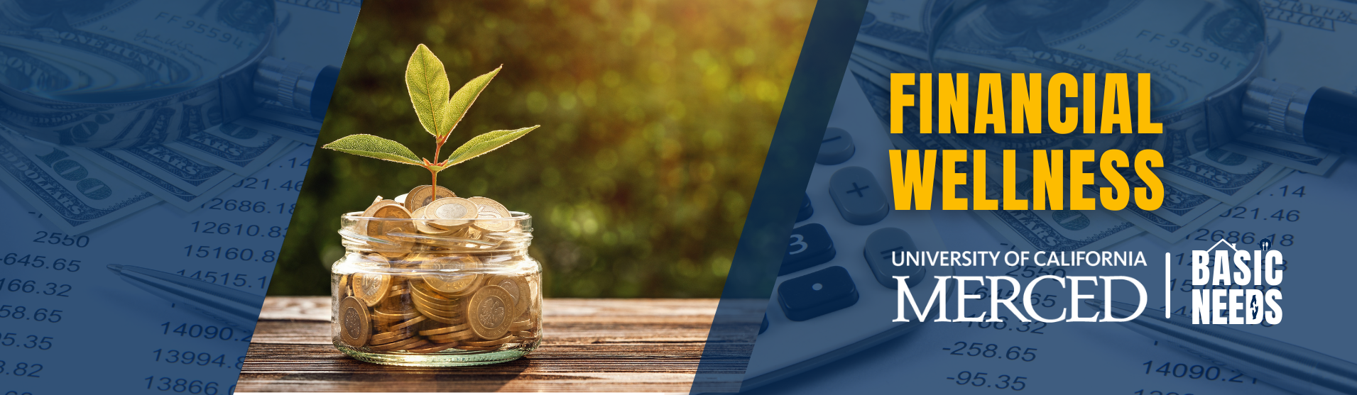 Financial Wellness | Basic Needs